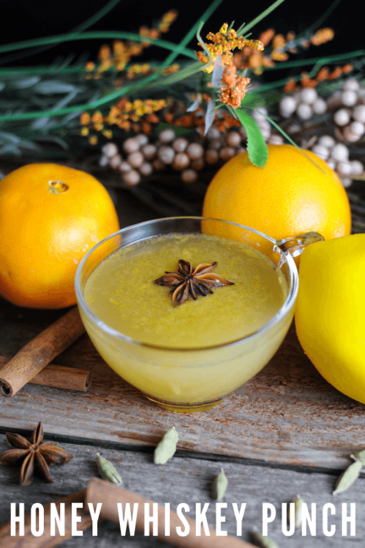 Holiday Whiskey Punch for a Crowd | Gastronom Cocktails
