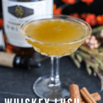 The Whiskey Lush - A Fall Pineapple, Honey and Whiskey Cocktail