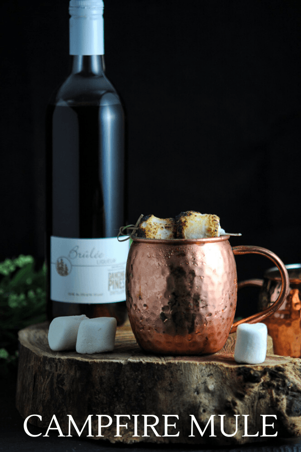 Campfire Mule - Smoky Moscow Mule Recipes | Gastronom Cocktails