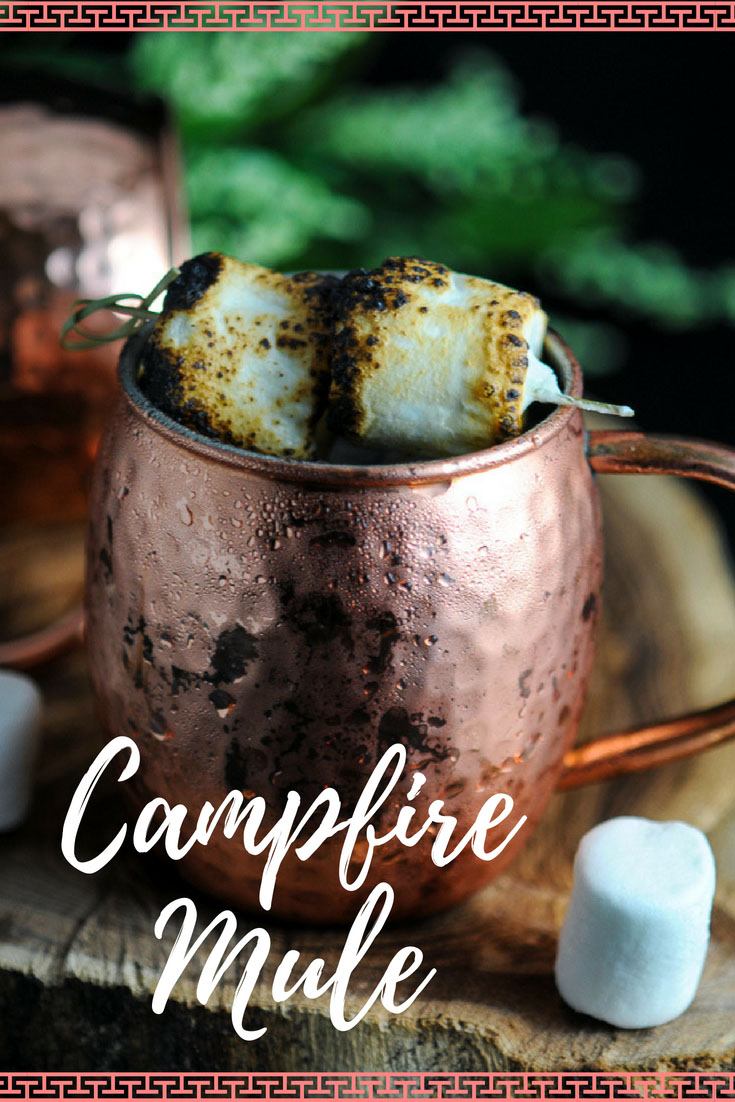 Campfire Mule - Smoky Moscow Mule Recipe|Gastronom Cocktails