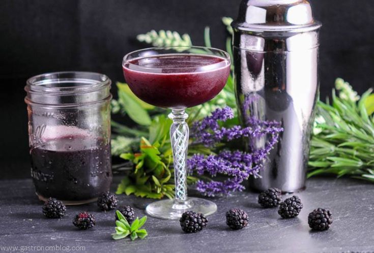 Brandy and Lavender Berry Shrub | Gastronom Cocktails