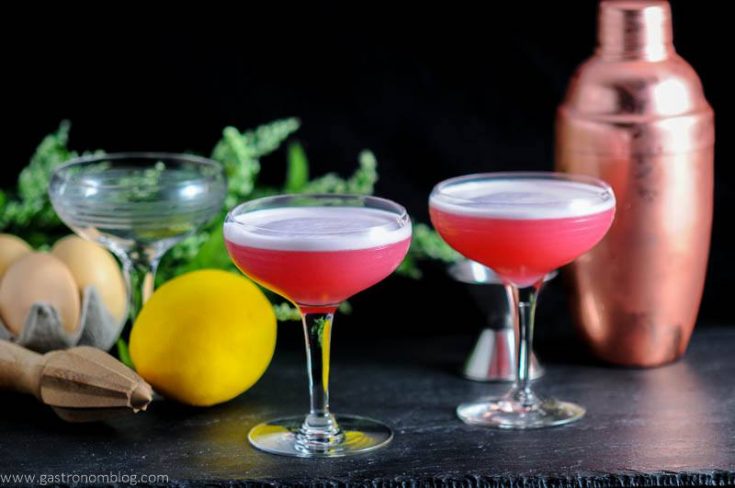 Clover Club Cocktail - 1920s Cocktail Recipe | Gastronom Cocktails