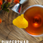 The Ginger Snap - Autumnal Ginger Cocktail | Gastronom Cocktails