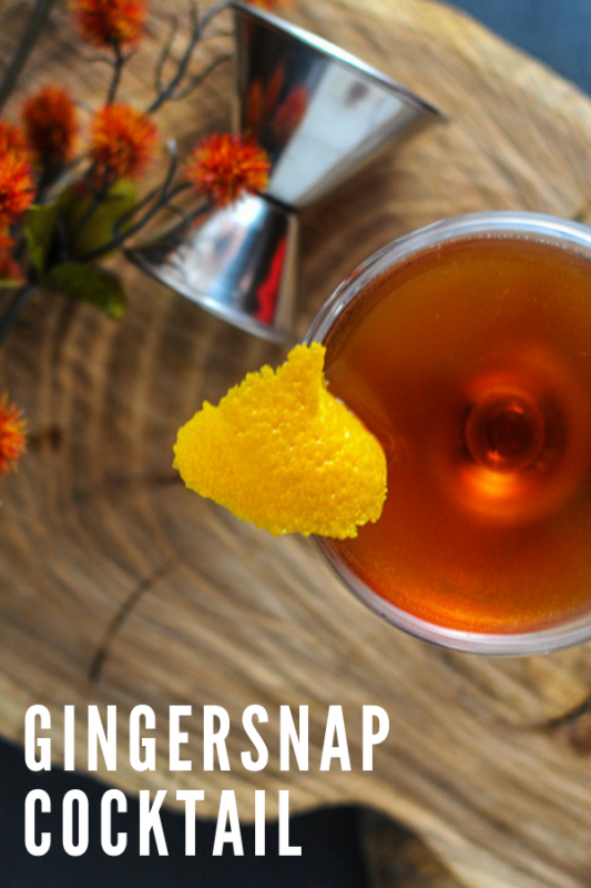 The Ginger Snap - Autumnal Ginger Cocktail | Gastronom Cocktails