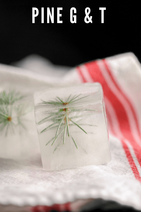 Evergreen Cocktail Gin and Tonic - Gastronom Cocktails