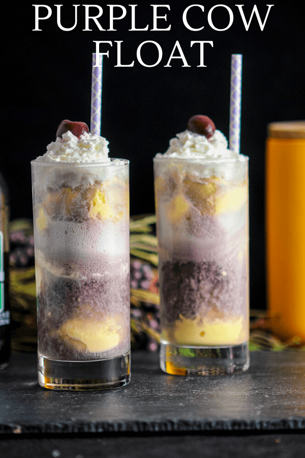Adult Purple Cow Float - Vodka Grape Float | Gastronom Cocktails