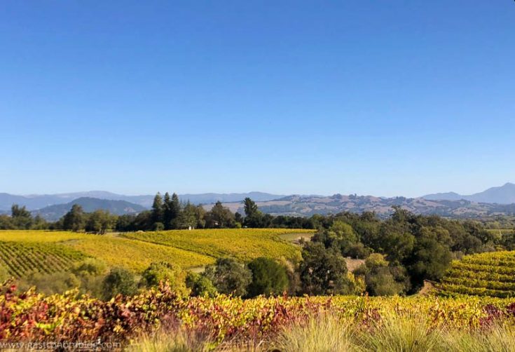 Exploring Sonoma County Wineries - Gastronom Cocktails