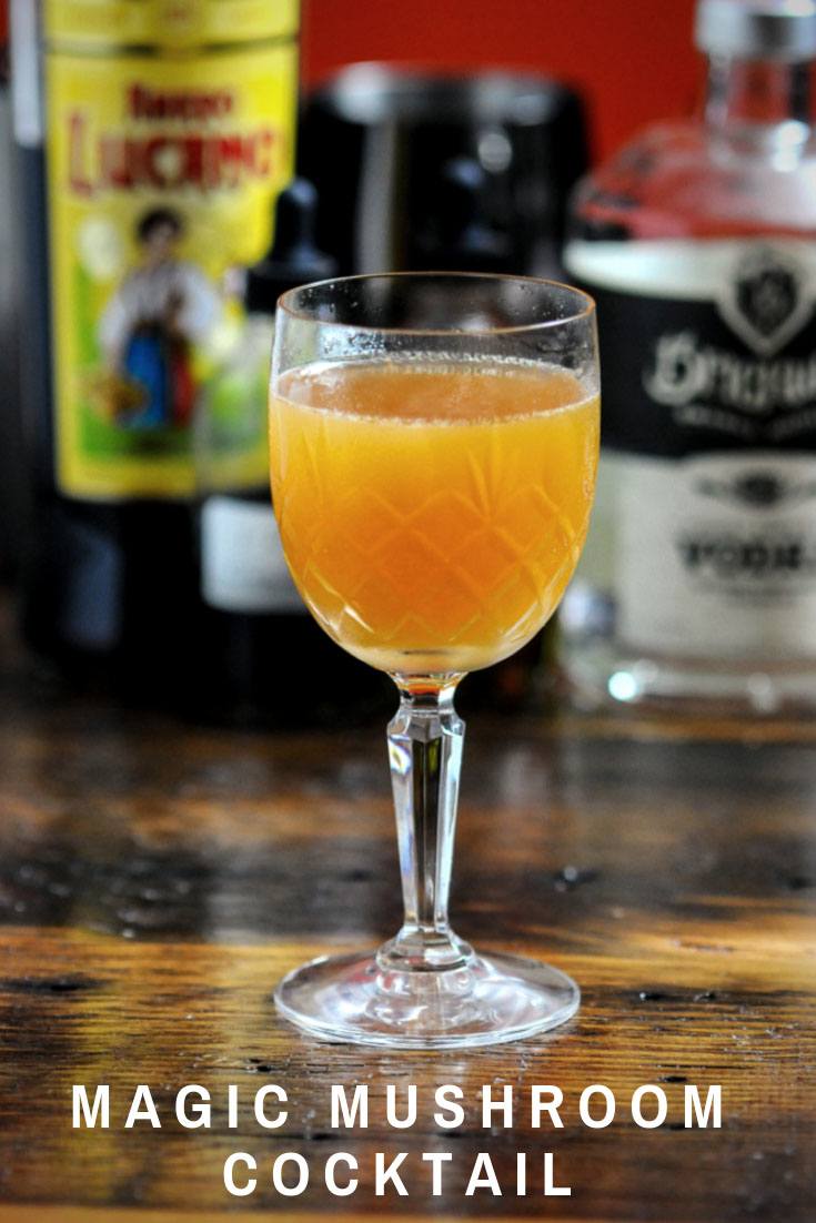 Mushroom Cocktail - Savory Cocktail | Gastronom Cocktails