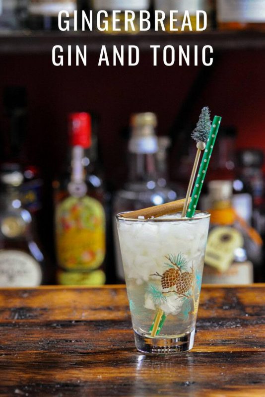 Gingerbread Gin and Tonic Winter Cocktail | Gastronom Cocktails