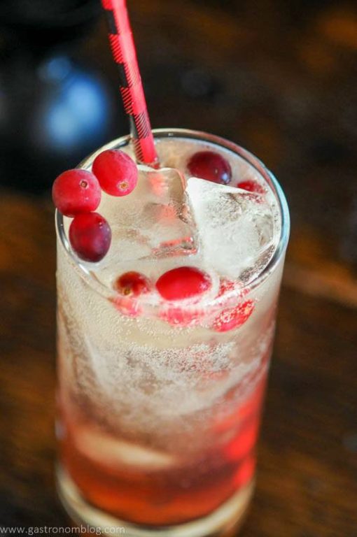 Zero Alcohol Gin - Cranberry Lime G & T | Gastronom Cocktails