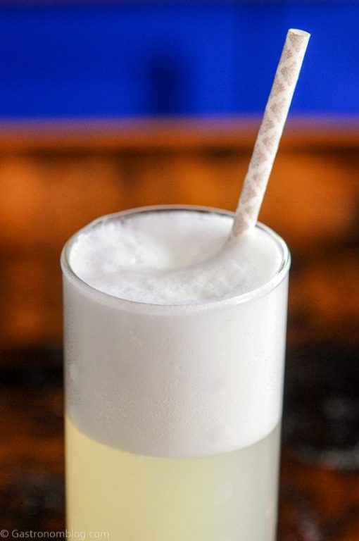 Make a Classic Gin Fizz Cocktail Recipe | Gastronom Cocktails