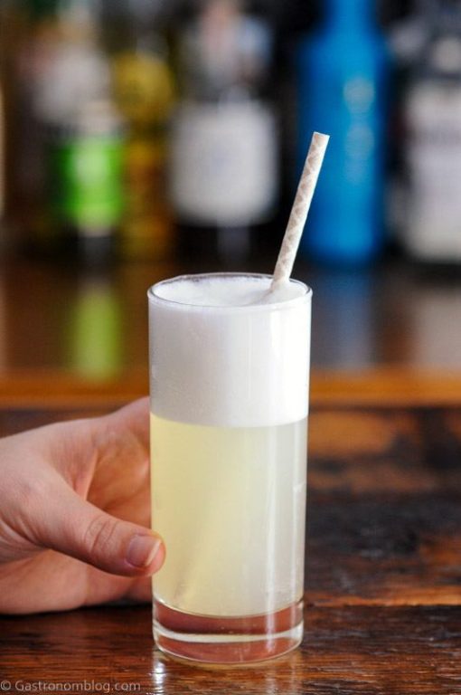 Make a Classic Gin Fizz Cocktail Recipe | Gastronom Cocktails
