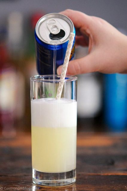 Make a Classic Gin Fizz Cocktail Recipe | Gastronom Cocktails