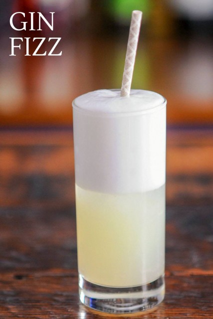 Make a Classic Gin Fizz Cocktail Recipe | Gastronom Cocktails