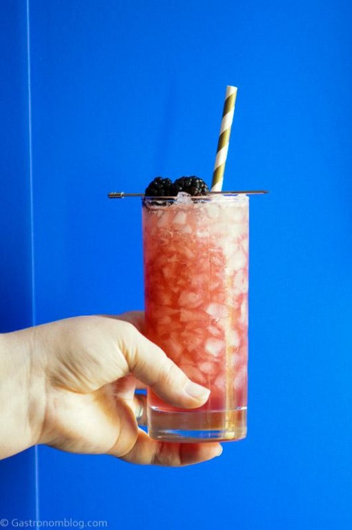 Blackberry Whiskey Collins - John Collins | Gastronom Cocktails