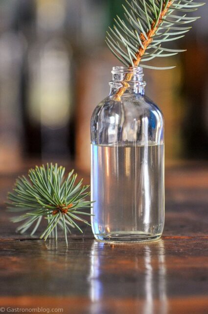 Homemade Pine Syrup Recipe | Gastronom Cocktails