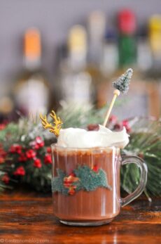 Boozy Spiked Hot Chocolate Recipe | Gastronom Cocktails