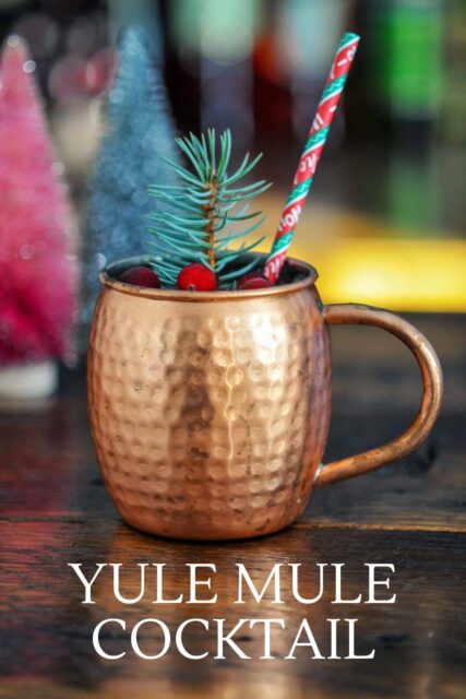 Yule Mule: Christmas Moscow Mule Recipe | Gastronom Cocktails