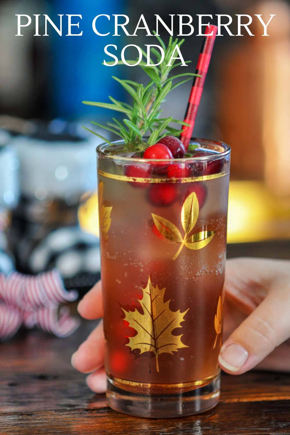 Sparkling Cranberry Mocktail Non Alcoholic Recipe|Gastronom Cocktails