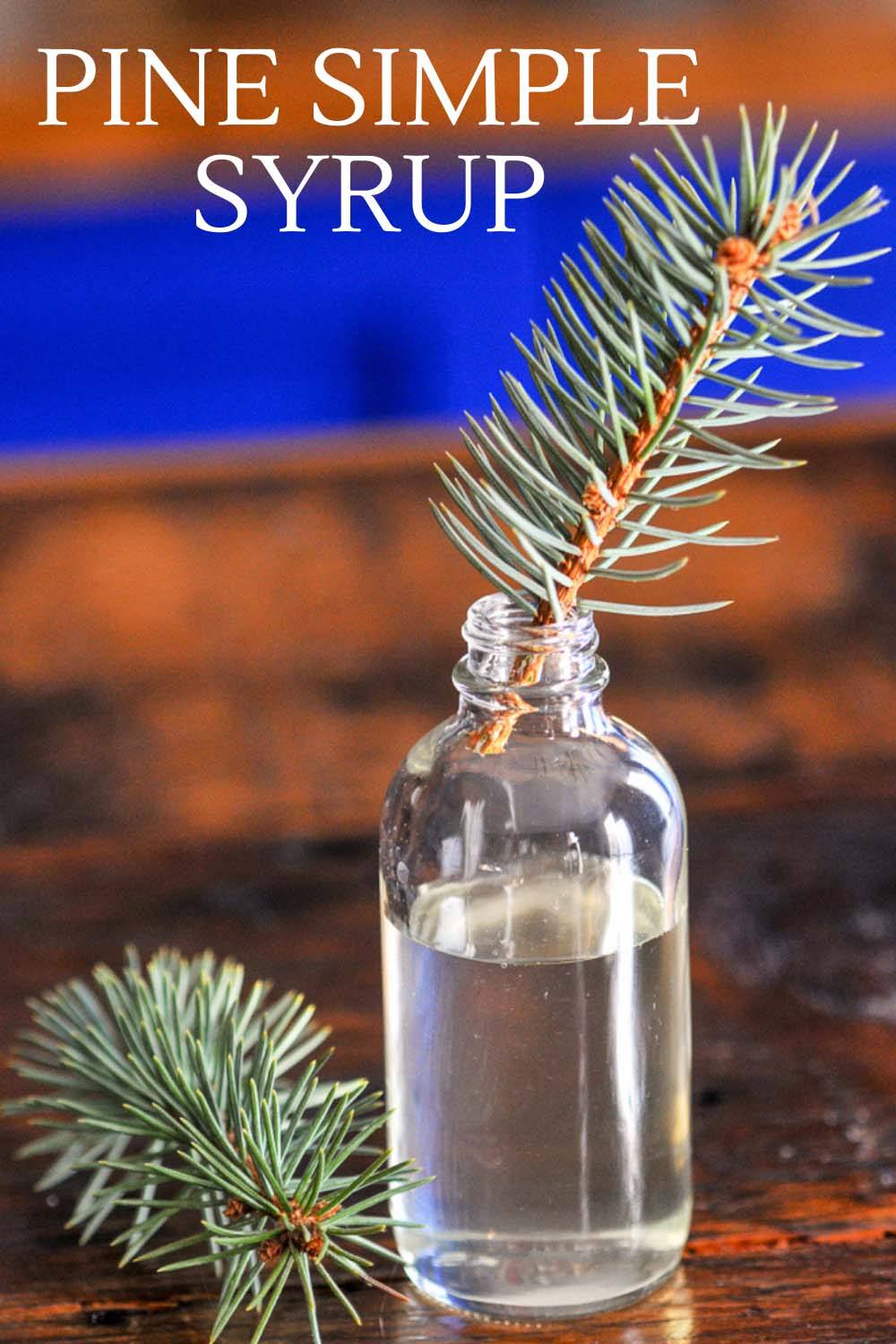 Homemade Pine Syrup Recipe | Gastronom Cocktails