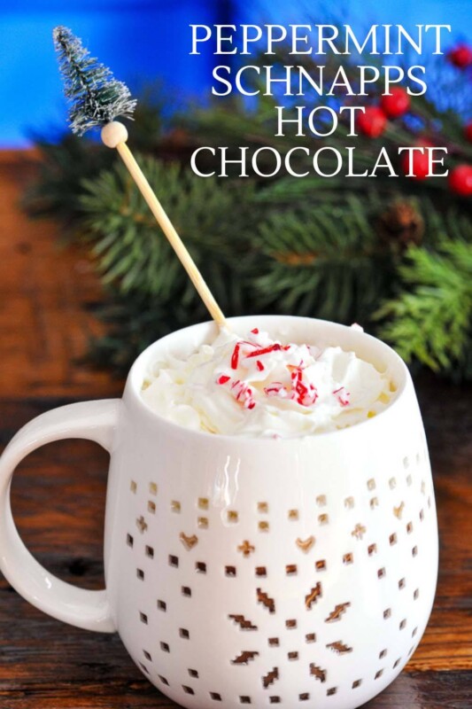 Spiked Peppermint Schnapps Hot Chocolate Recipe - Gastronom Cocktails
