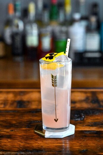 Rhubarb Collins Cocktail - Gastronom Cocktails