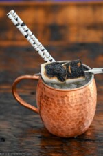 Campfire Mule - Smoky Moscow Mule Recipe|Gastronom Cocktails