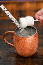 Campfire Mule - Smoky Moscow Mule Recipe|Gastronom Cocktails