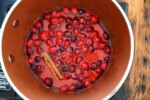 Spiced Cranberry Simple Syrup - Gastronom Cocktails