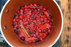 Spiced Cranberry Simple Syrup - Gastronom Cocktails