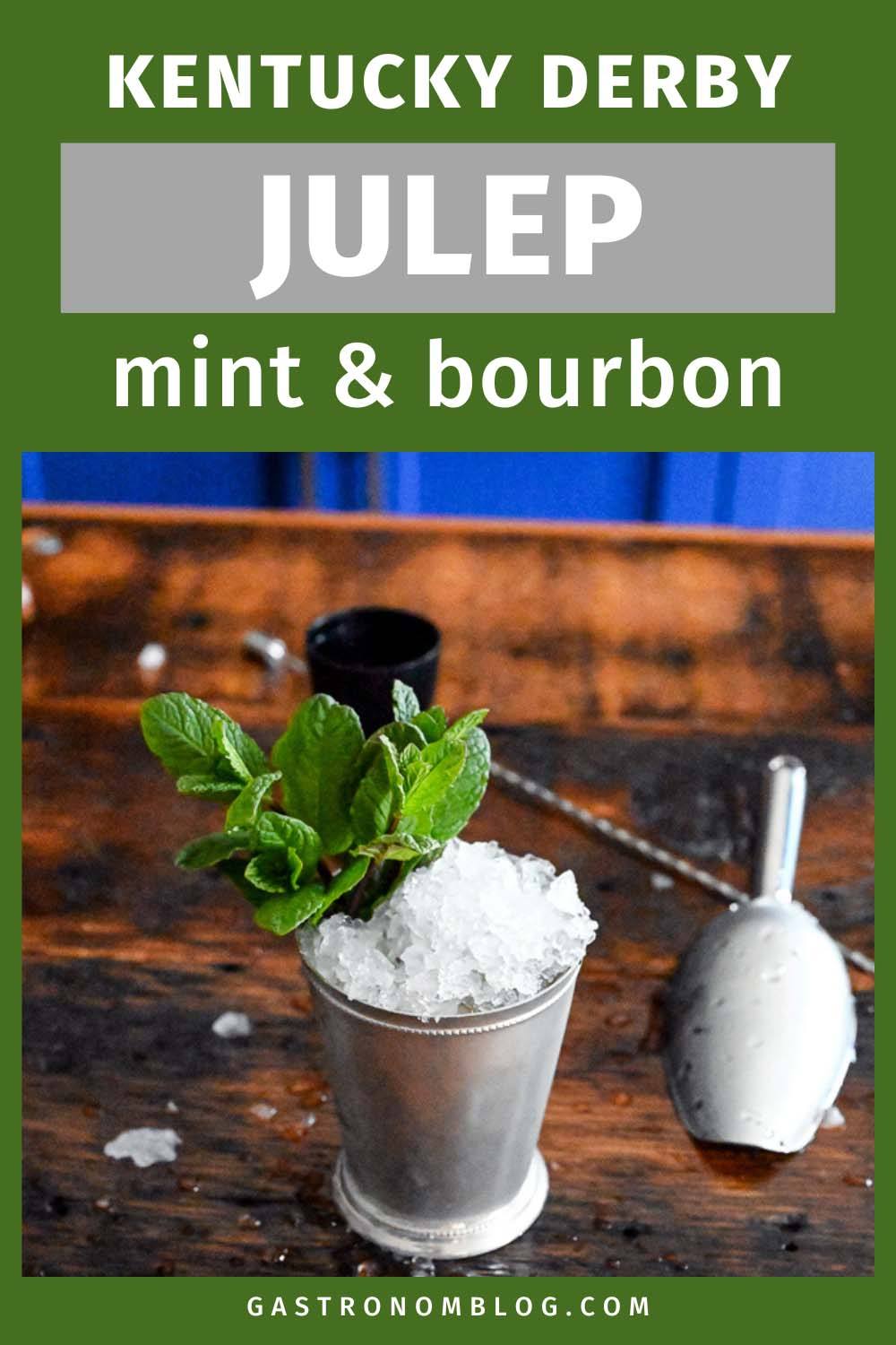 Kentucky Derby Classic Mint Julep Recipe | Gastronom Cocktails
