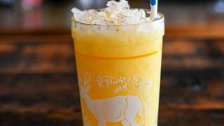 Citrus Fizz (Non-Alcoholic) Recipe - Gastronom Cocktails