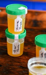 Specimen Sample Cocktail - Halloween Party Drink - Gastronom Cocktails