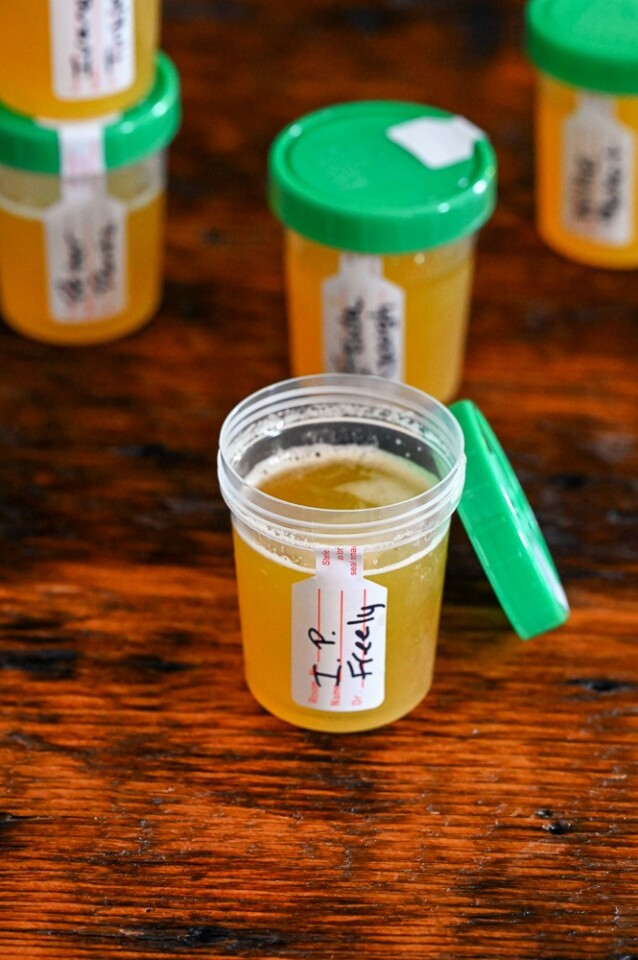 Specimen Sample Cocktail - Halloween Party Drink - Gastronom Cocktails