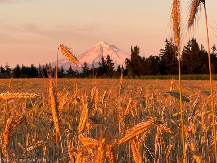 Trail Distilling - First Oregon City Distillery - Gastronom Cocktails