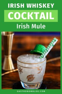 Jameson Whiskey Irish Mule Cocktail Recipe - Gastronom Cocktails