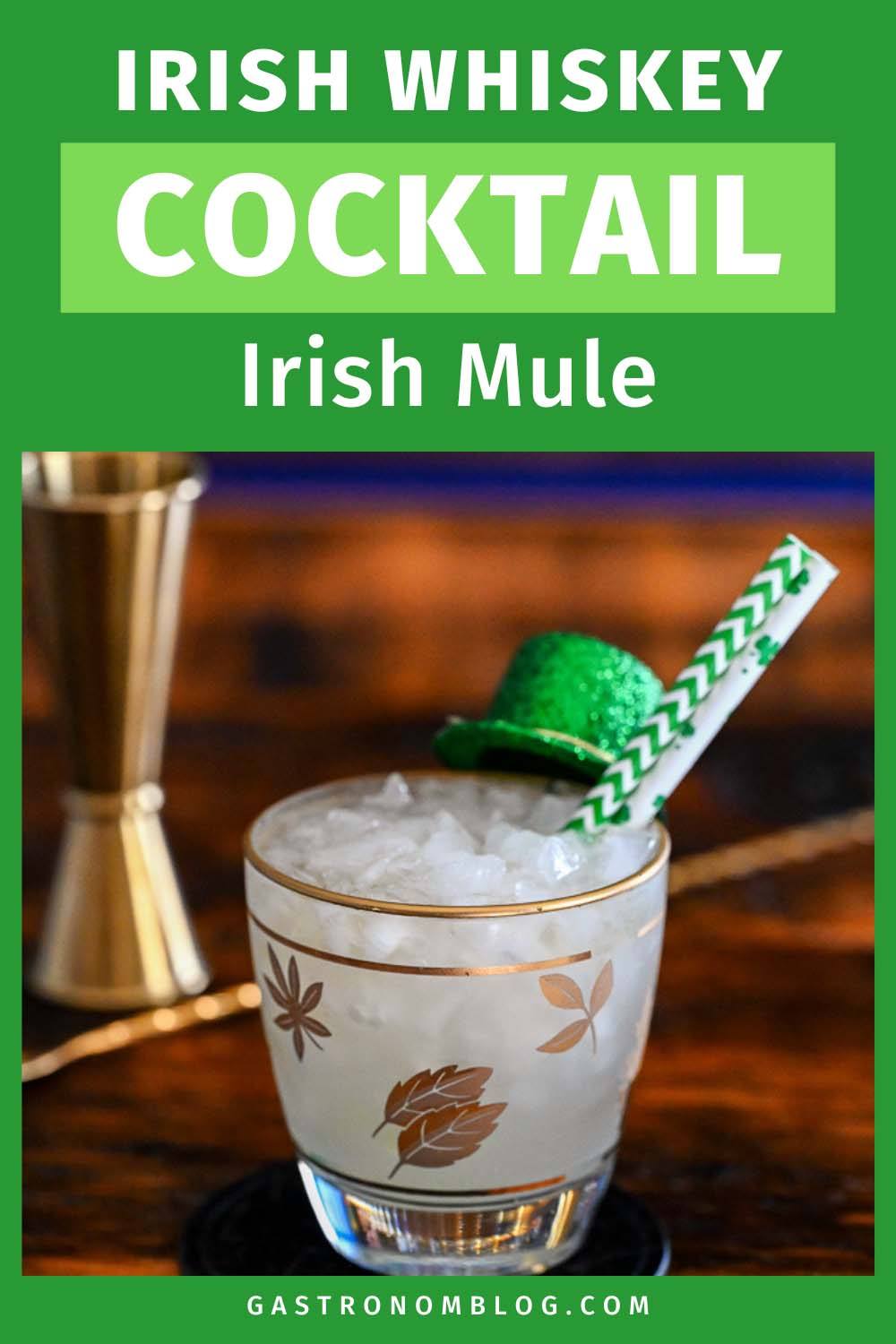 Jameson Whiskey Irish Mule Cocktail Recipe - Gastronom Cocktails