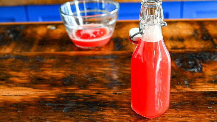 Watermelon Syrup - Easy Homemade Recipe - Gastronom Cocktails