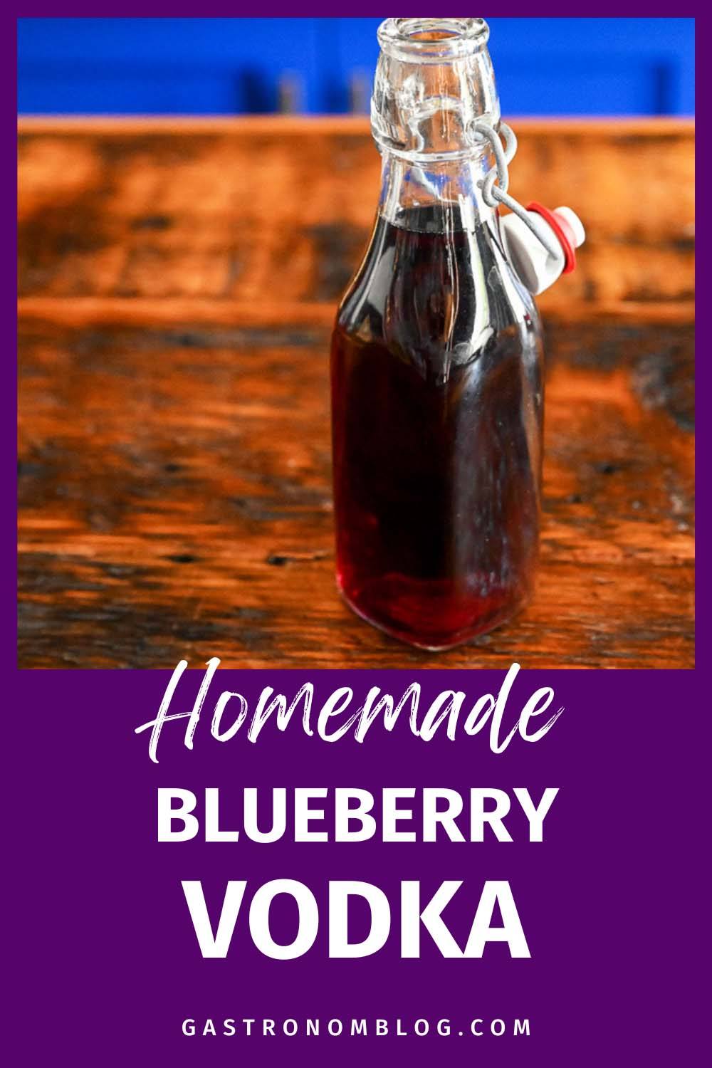 Homemade Blueberry Vodka Recipe for Cocktails - Gastronom Cocktails