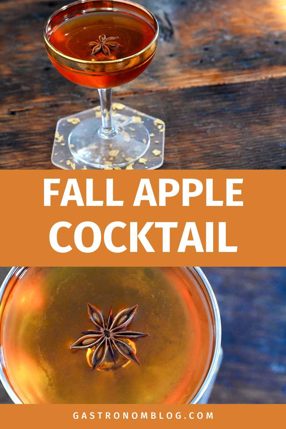Easy Autumn Apple Cocktail Recipe - Gastronom Cocktails